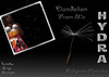 Second Life Marketplace - [HYDRA] Dandelion From Me Particle Script